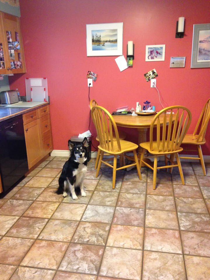 Tranquility In The Bay - North Saanich