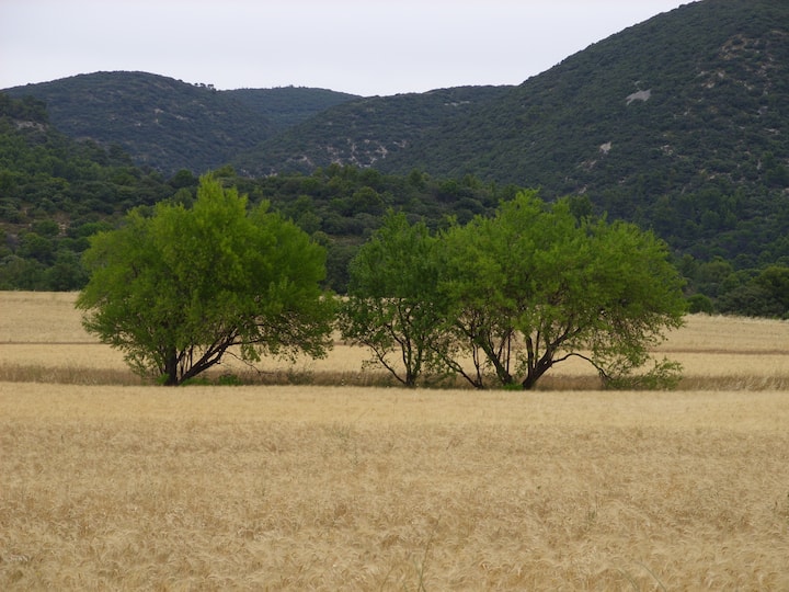 Agréable Villa En Luberon - La Roque-d'Anthéron