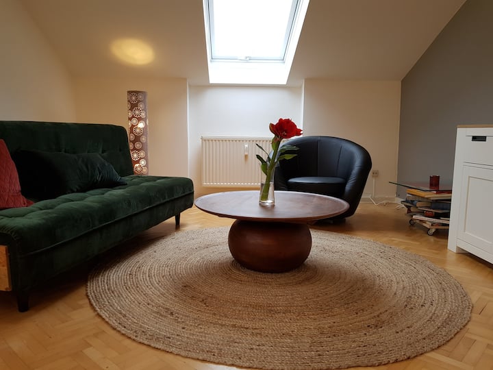 Dachgeschosswohnung Mit Flair - Augsbourg