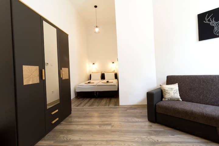 Karikum Large Apartment/renovated 2025 May - Budapešť