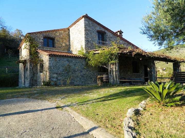 Accogliente Casa Di Campagna - Sapri
