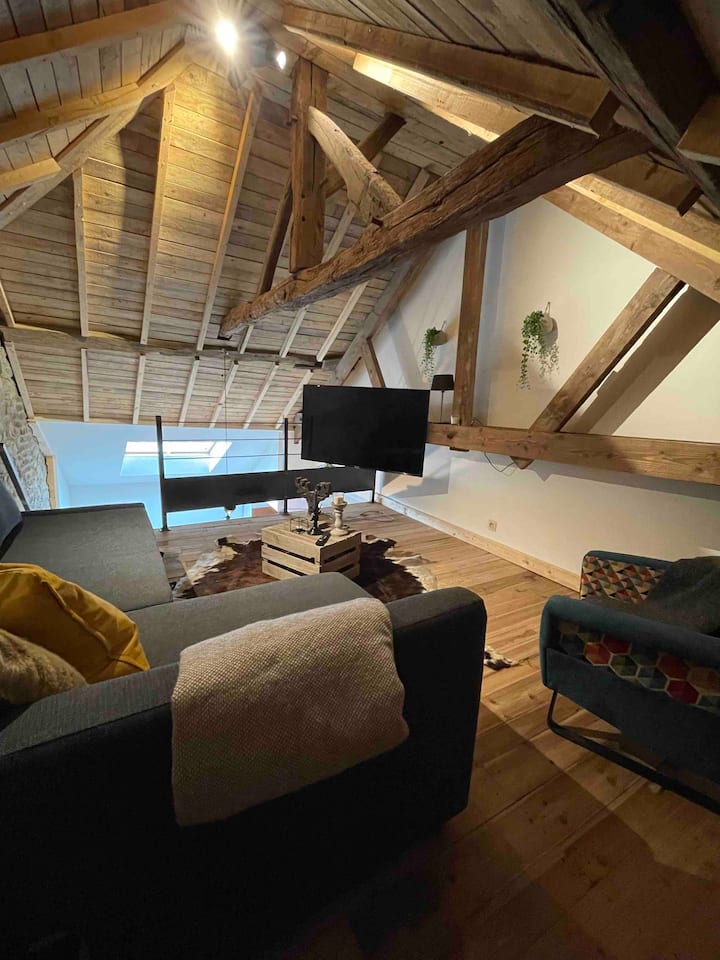 Loft Cosy Jacuzzi Et Garage Privé - Saint-Hubert