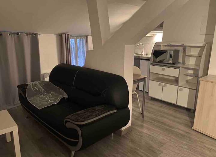 Studio Confort Centre Ville Vue Château - Montbéliard