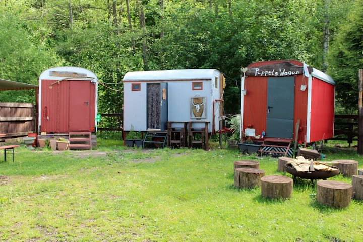 Bauwagen, Tinyhouse In Der Natur Auf Einer Ranch. - Daun