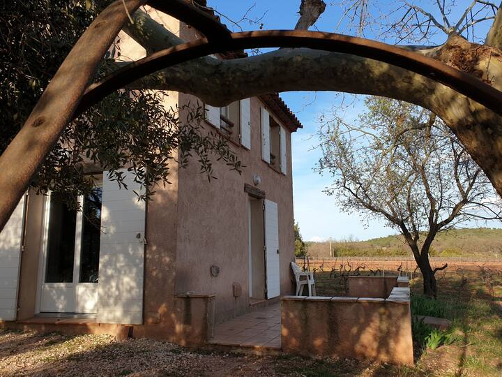 Bastidon Rénové : Le Cabanon De Lili - Solliès-Pont