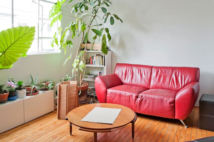 Bonito Departamento En La Condesa - Mexikóváros
