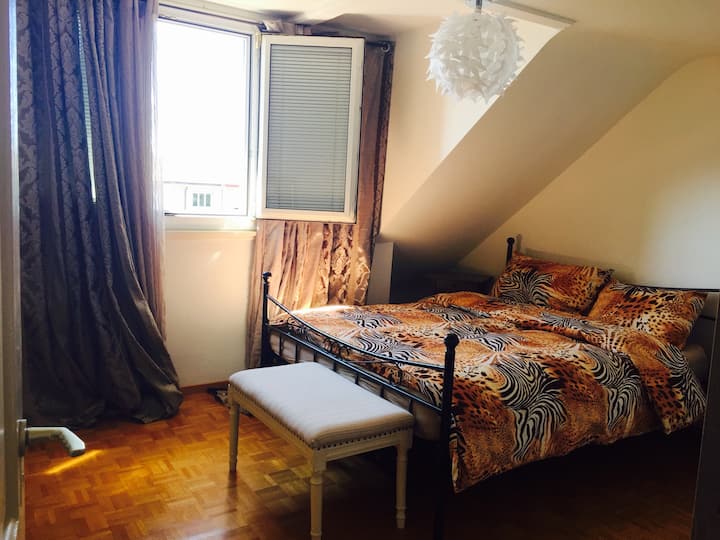 Cozy Apartment, Center Of Lausanne - Lausanne