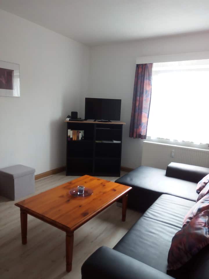 Gemütliche Wohnung Radebeul - Radebeul
