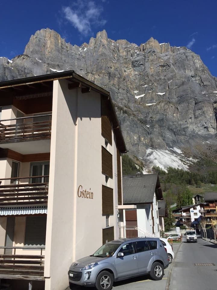 Appartement 2p Entièrement Rénové Dans Le Centre - Kandersteg