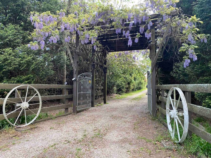 Relaxing At Acreage Farmhouse - Fitzroy Falls