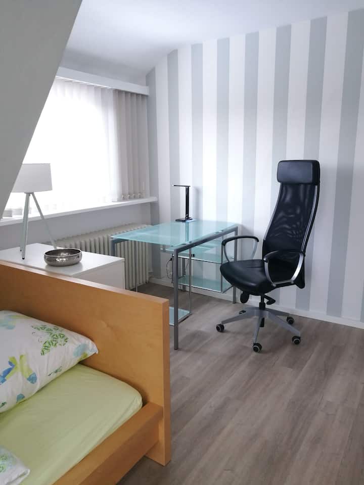 Großes Zimmer Mit Balkon Und Dachterrasse. - Springe