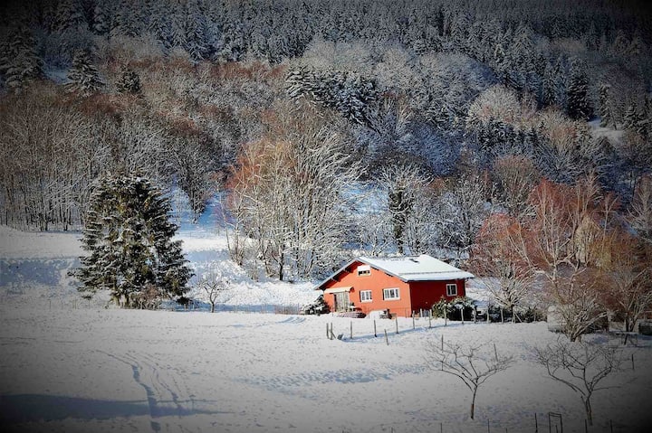 Studio De Montagne
* Neige Fraiche * - Sainte-Marie-aux-Mines