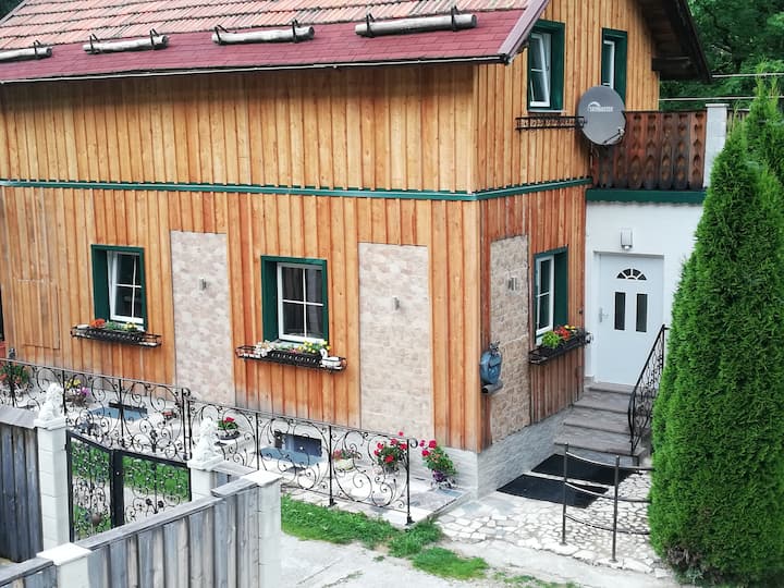 Georges Rast Nähe Zum See , Wanderausgangspunkt - Bad Ischl