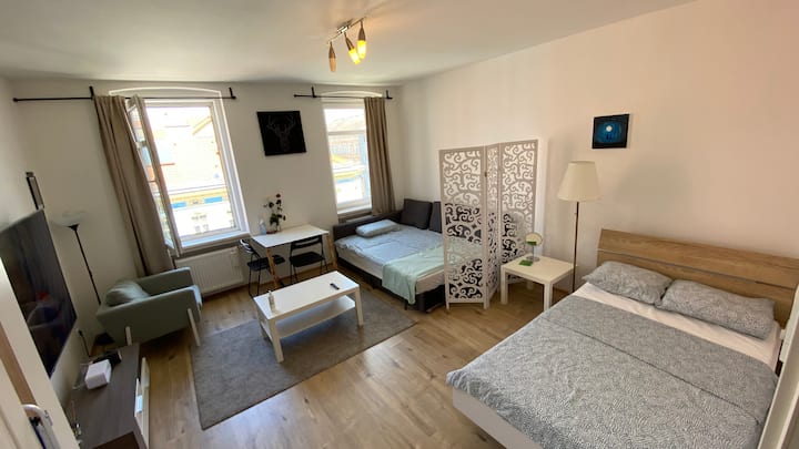 Ganze Wohnung / Whole Appartment / Centrum - Vienna