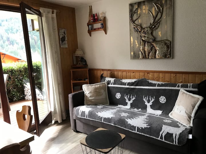Studio 4 Pers. Pieds Des Pistes - Lit En 160 - Châtel