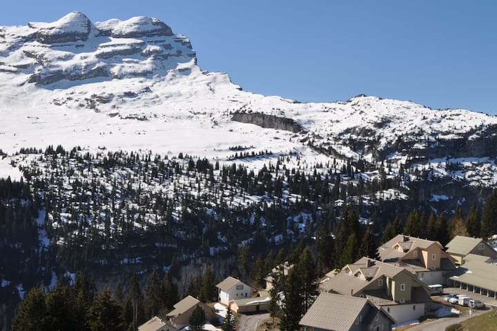 Cozy Chalet, Direct Ski Access And Stunning Views - Flaine