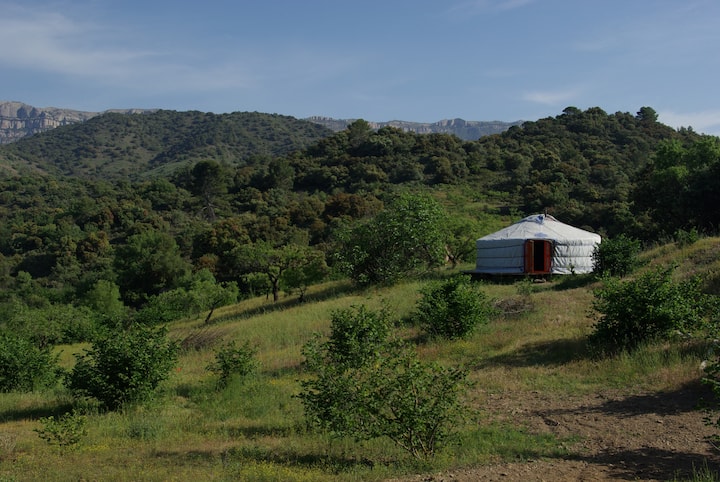Yurta Autentica Frente Al Montsant - Siurana