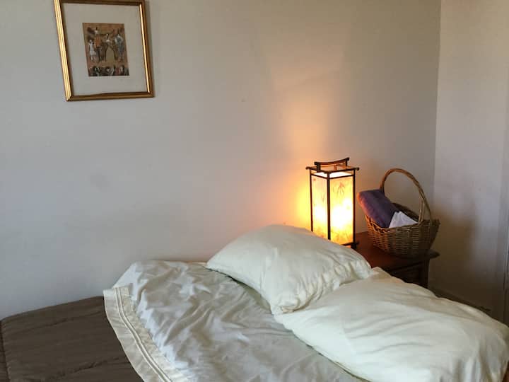 Large And Comfy Room In Astoria - New York City