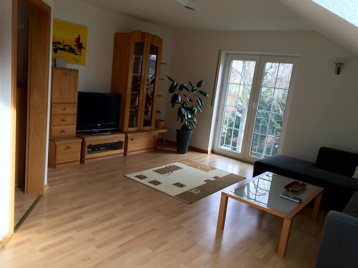 Dreiraumwohnung Im Grünen Ca. 4 Km Ins Zentrum - Leipzig