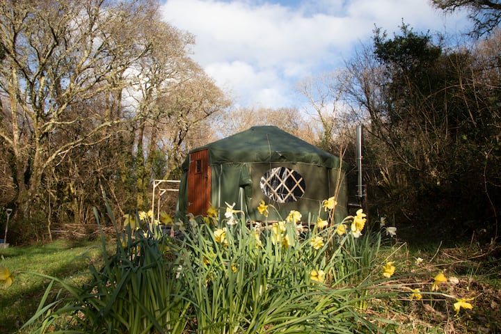 3 Best Yurts Near Killarney, Ireland - Updated 2025 | Trip101