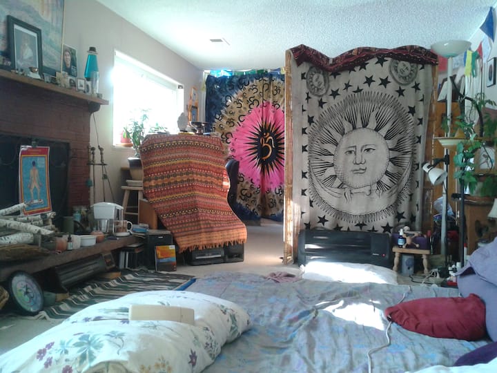 Cozy Purple Twin Bed, Fridge/freezer Free Roku Tv! - Longmont, CO