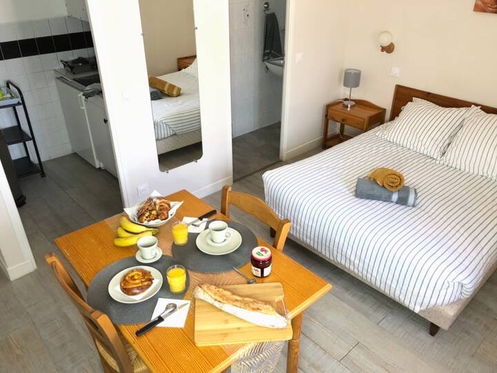 Studio Tout Confort En Plein Centre - Bourbonne-les-Bains