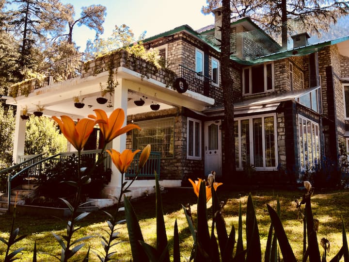 Tosh, Himachal | Weather, Things to Do, How to Reach - Holidify