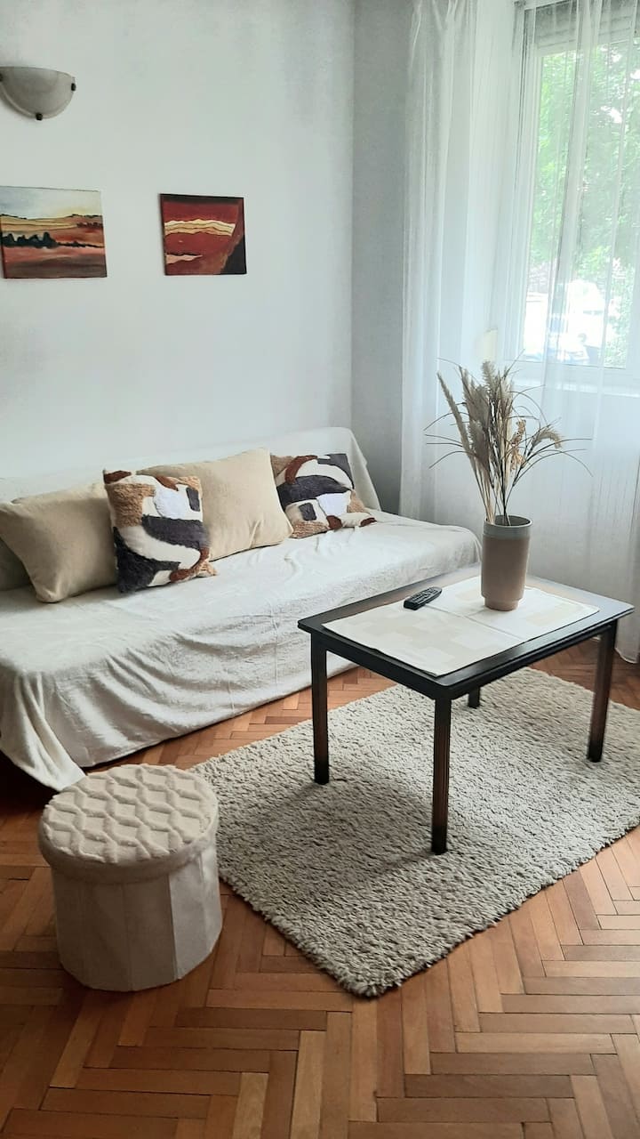 Apartament Central Adina - Oradea