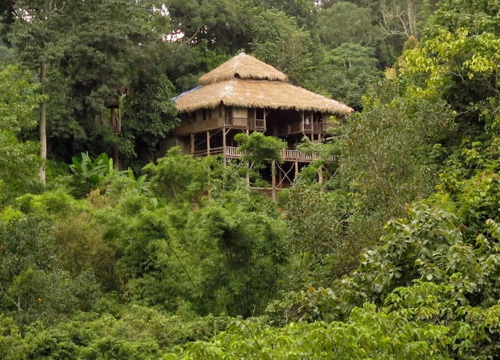 Big Room @ The Tree House Hideaway - Chiang Dao