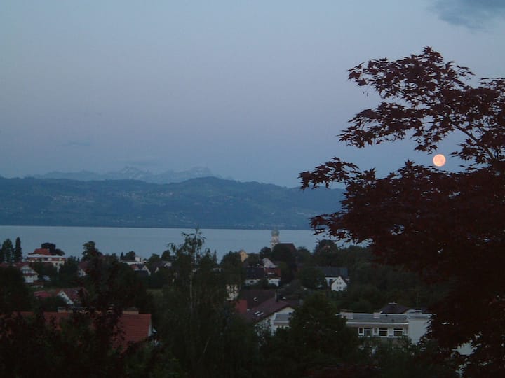 Home With A View Kolonial Panorama - Lake Constance