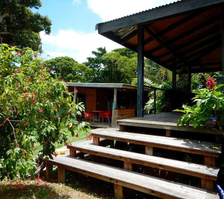 L'oiseau Du Paradis - Neukaledonien