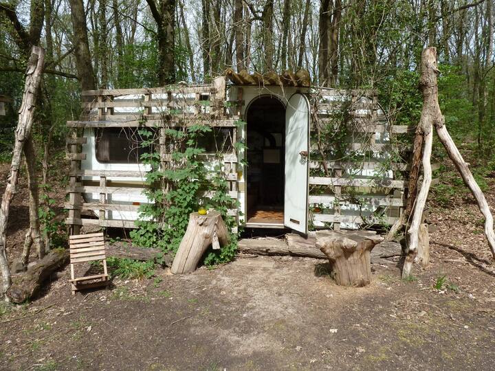 Cute Caravan In A Beautiful Forest - Boxmeer