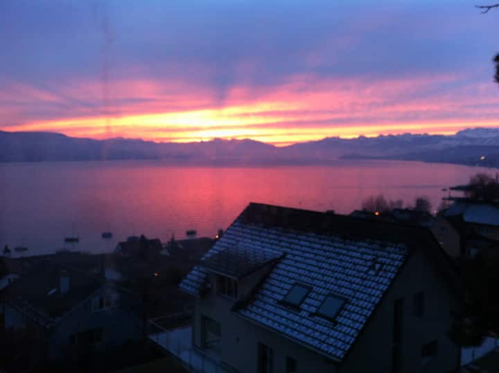 Chic Appartement Jardin, Vue Sur Lac, 12' A Zurich - Erlenbach
