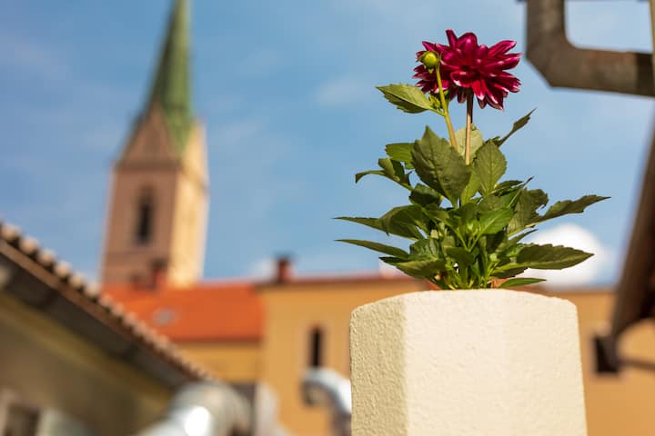 S&j's Uptown Apartment - Zagreb