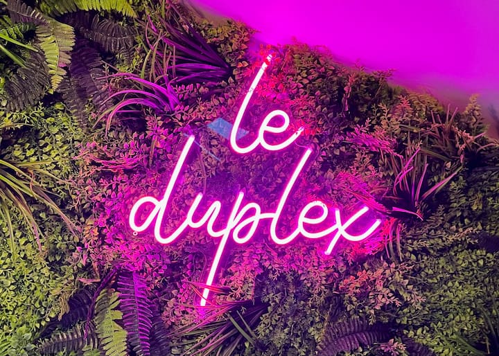 💜Duplex Romantique💚clim❄️coin Cinéma⭐️parking💜 - Bas-Rhin
