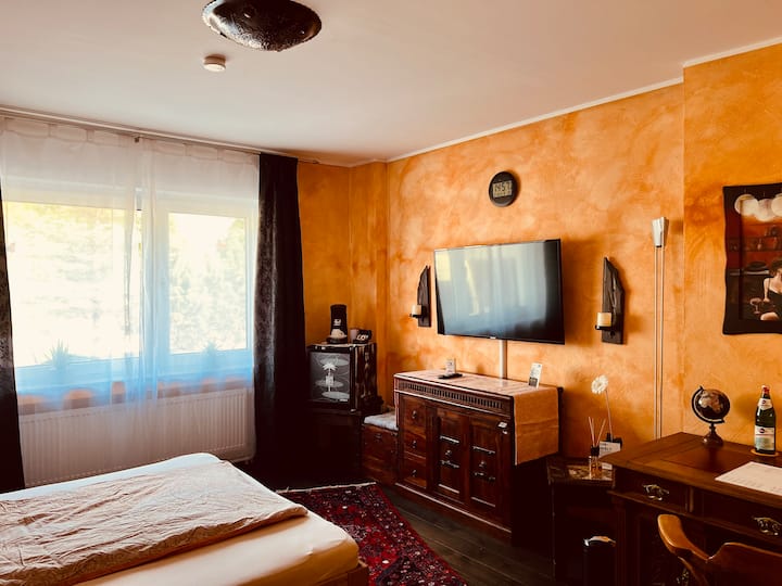 Professional Or For Studies, Top, 300mbit, Smarttv - Bonn