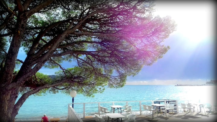 Near The Sea  2 / Budva - Budva