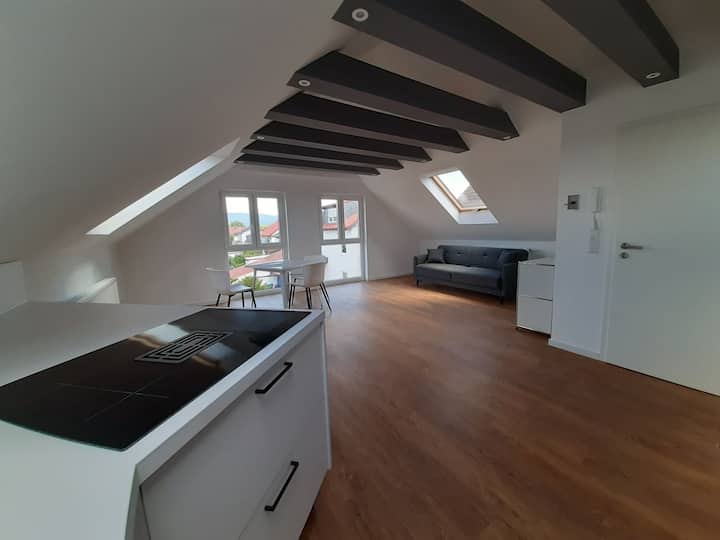 Moderne Wohnung 65 Qm Mit Parkplatz - Heidelberg