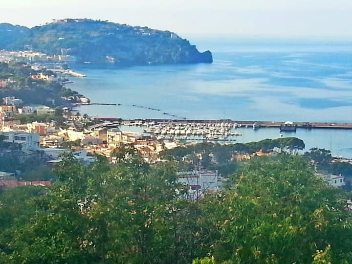 Casetta Ottavio - Ischia