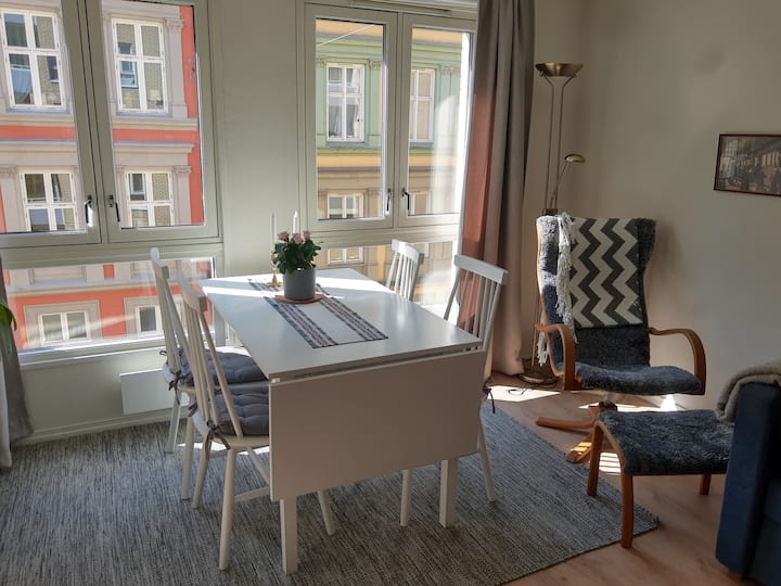 Centralt Läge, Gångavstånd Till City. - Oslo