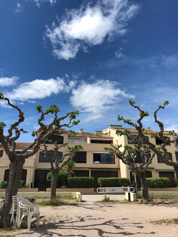 Au Bord De La Lagune Des Capellans - Saint-Cyprien