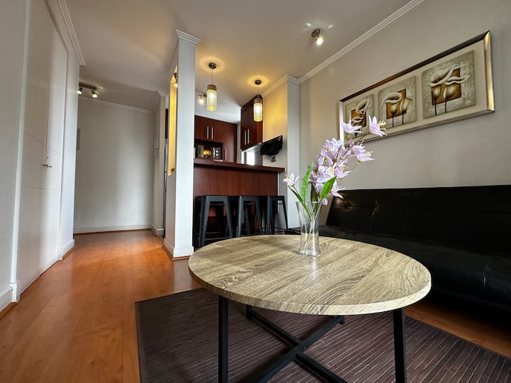 Confortable Departamento En Providencia - Providencia, Chile