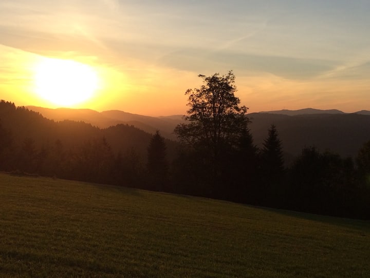 Heimelige Wohnung Im Herzen Des Schwarzwalds - Schiltach