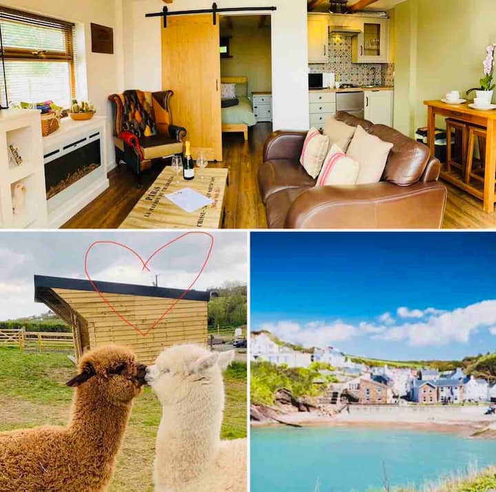 Unique Alpaca Farm, Gym And Coastal Retreat - Haverfordwest