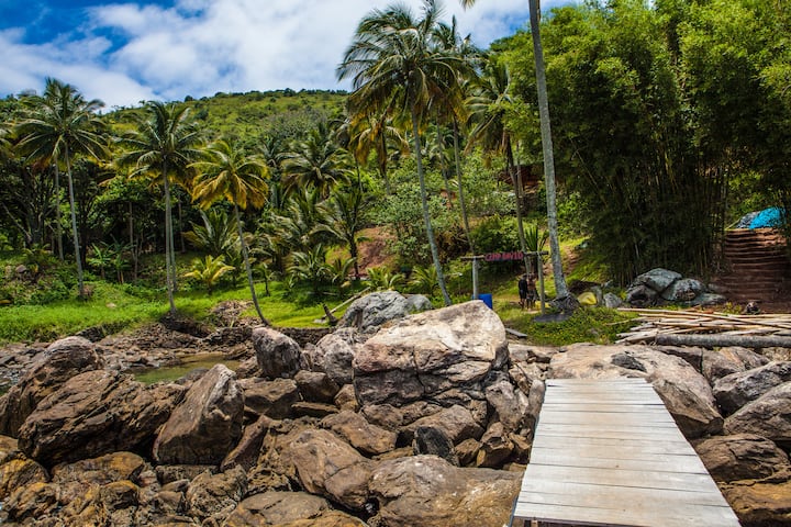Ilha Das Couves São Sebastião - Camping ÁRea. - São Sebastião