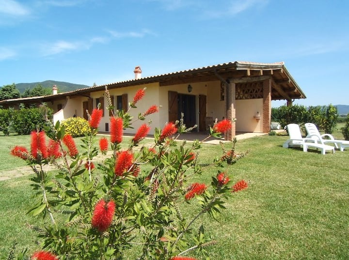 Monte Regio - Castiglione della Pescaia
