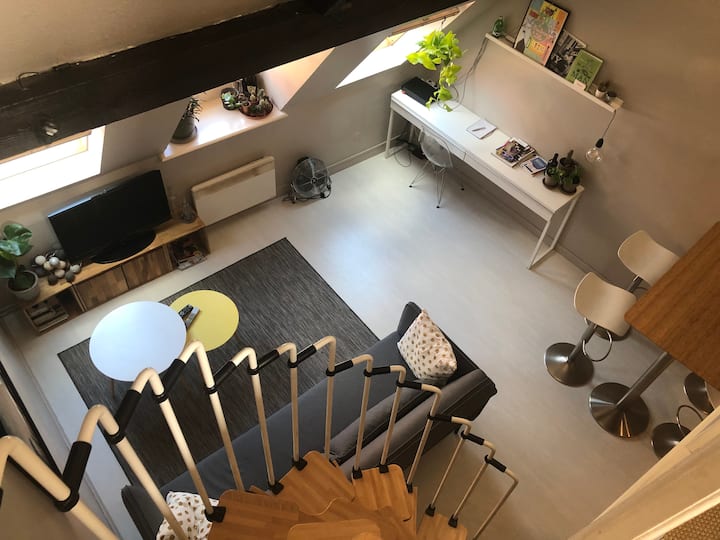 Appartement Duplex Centre/vieux Lille - ibis Lille Lomme Centre