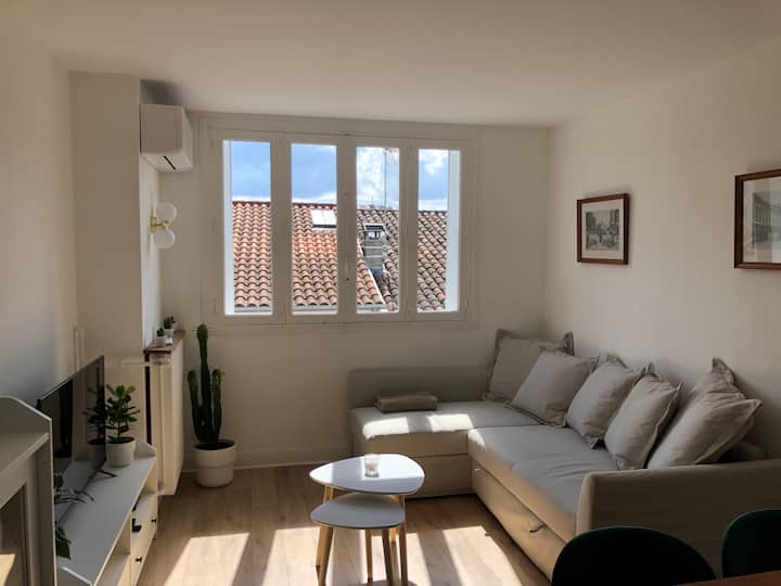 Appartement T3 Jardin Des Plantes - Jean-Jaurès - Toulouse