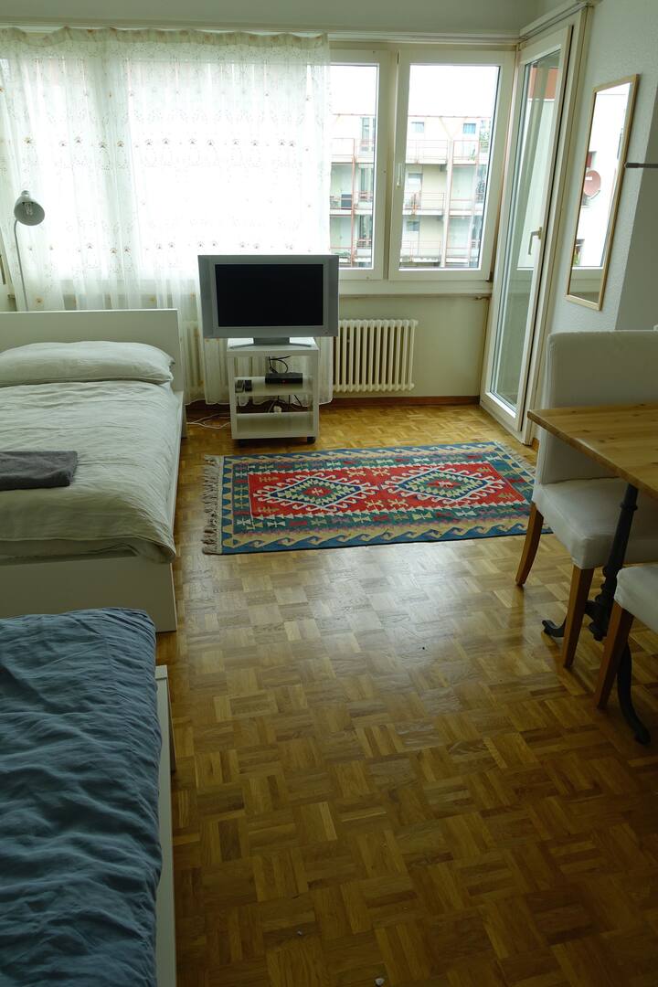 2- Zimmerwohnung Möbliert Nähe Musical Theater - Basel