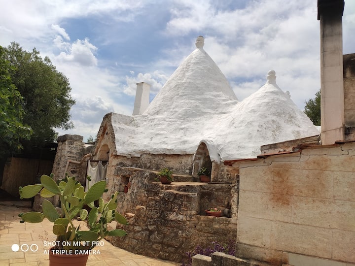 I Trulli Della Masseria Donna Licia - Fasano